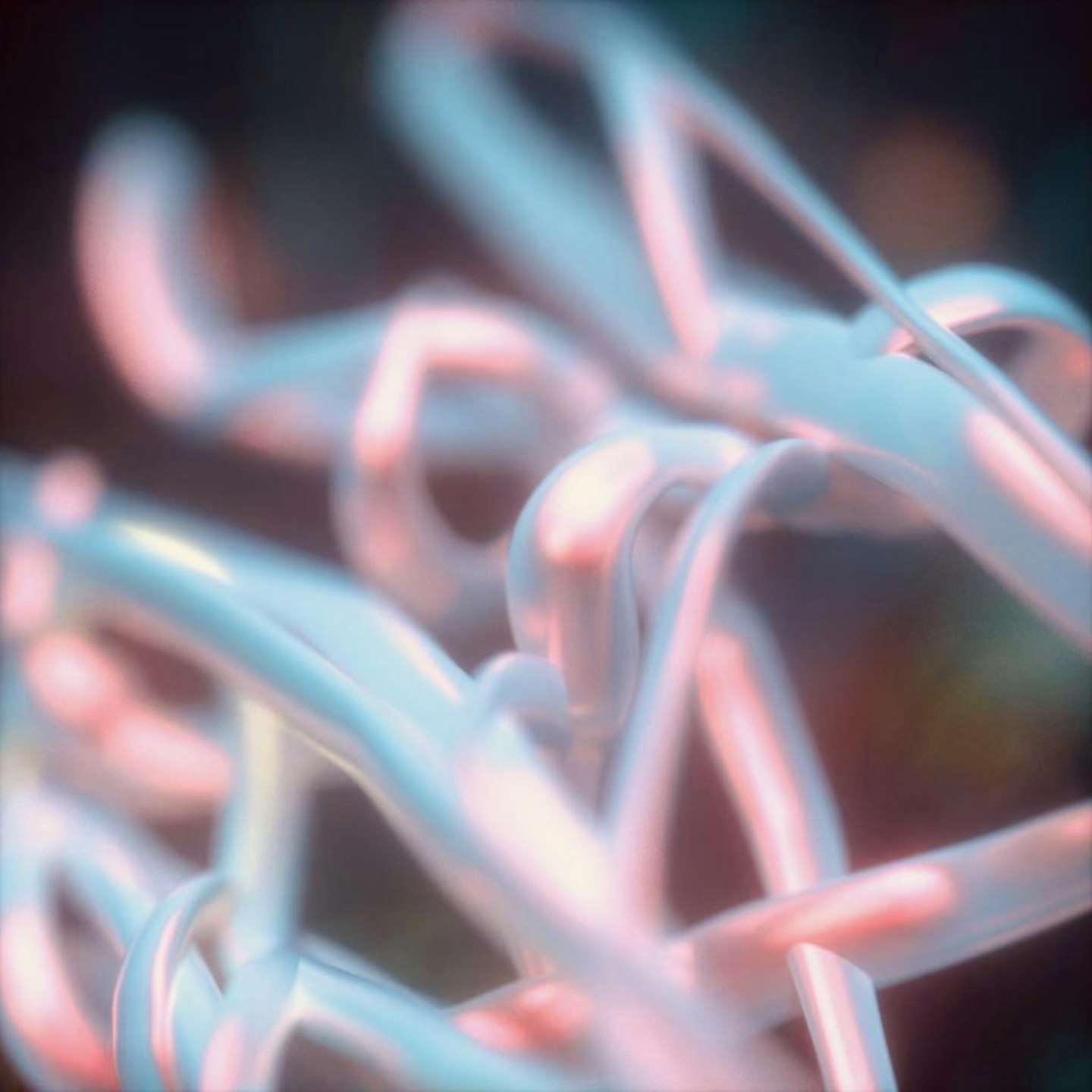 International Magic · Selfridges Superfutures