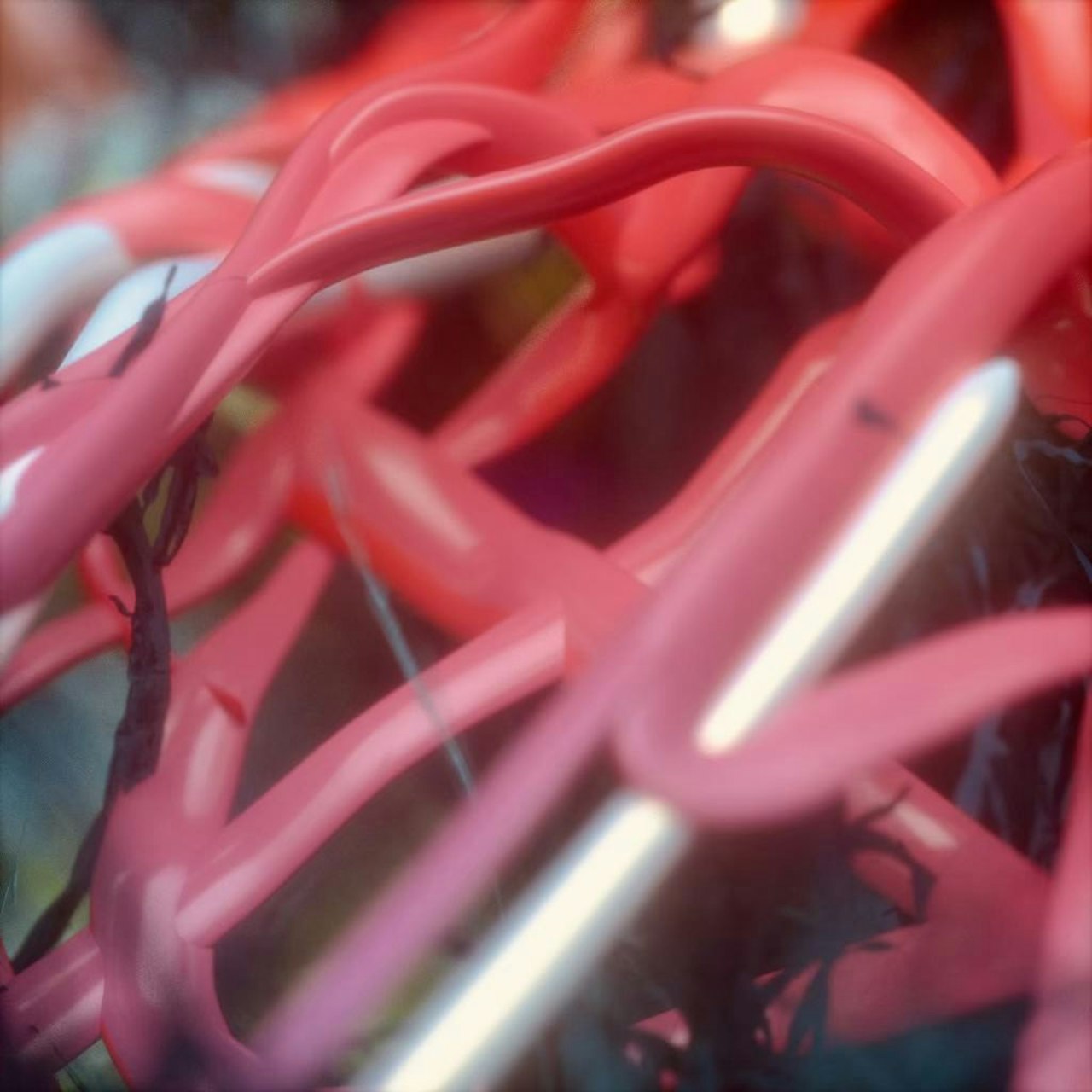 International Magic · Selfridges Superfutures