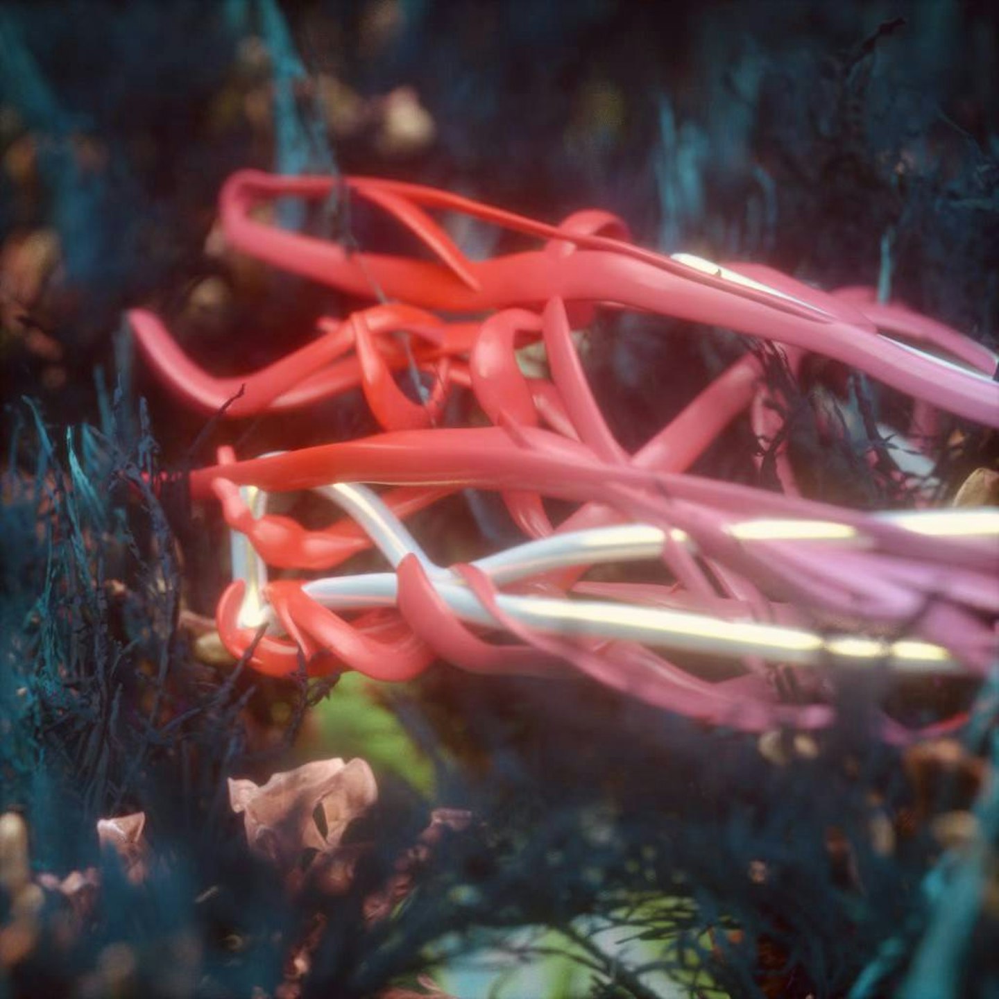 International Magic · Selfridges Superfutures