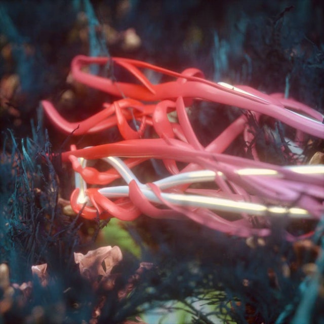 International Magic · Selfridges Superfutures