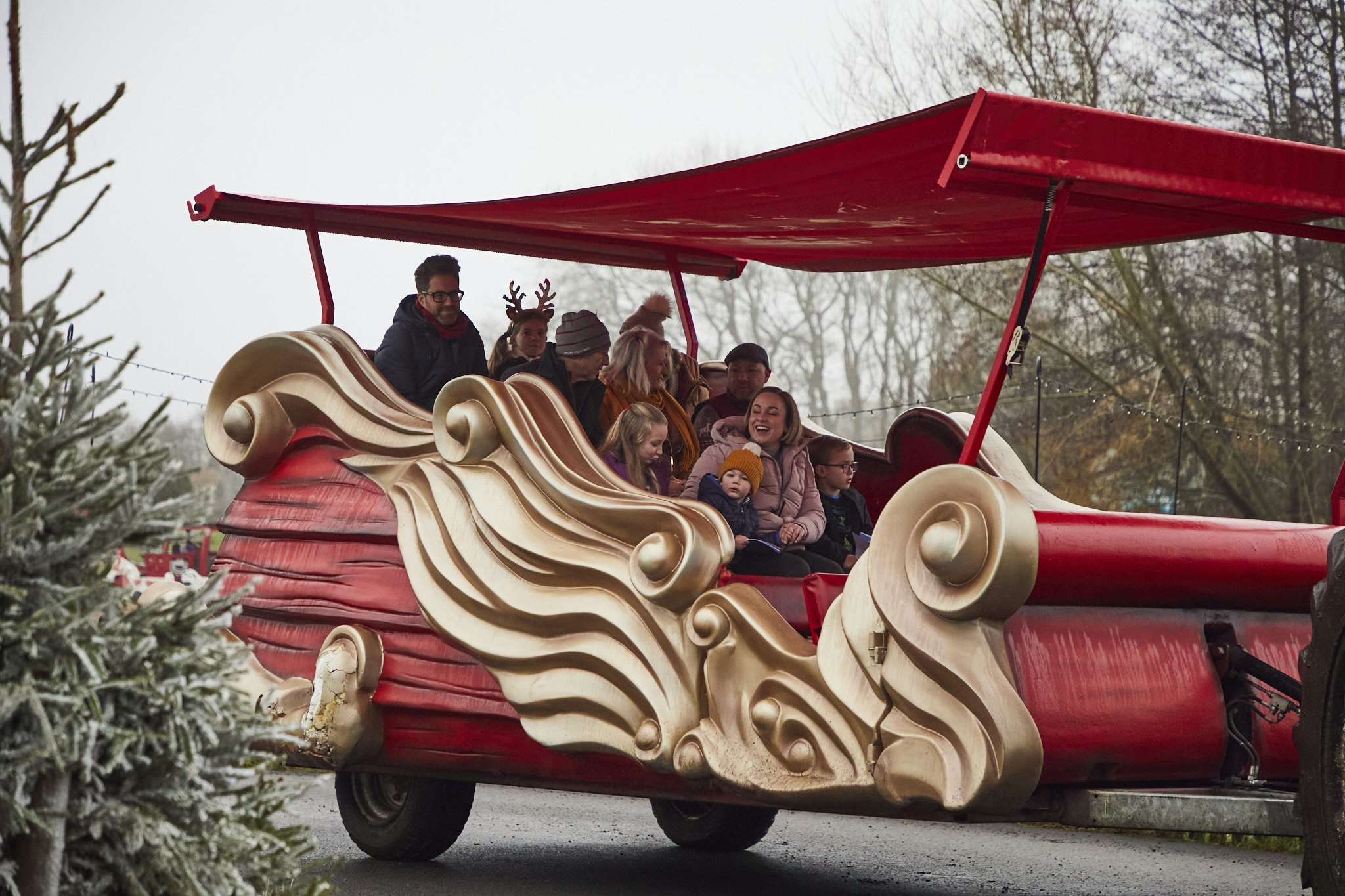 Christmas | Piglets Adventure Farm