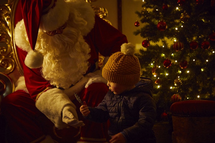 Christmas | Piglets Adventure Farm